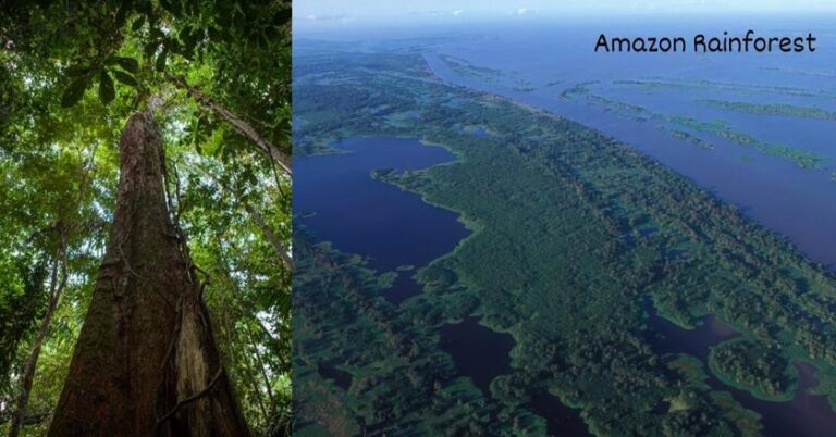 Exciting 2 Weeks in Brazil: 2 itineraries with map